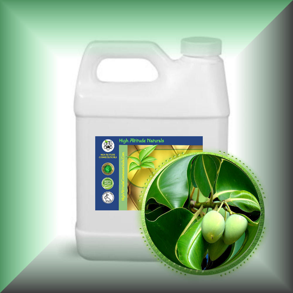 Tamanu (Foraha) Oil for Skin - Face Moisturizer - Walmart.com