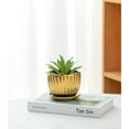 Gold Plant Pots,4.1+5.1+6.5 Inch Ceramic Succulent Planters Set of 3 ...