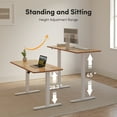 DESINO 60Inch Electric Height Adjustable Standing Desk, Splice Board ...
