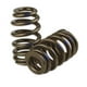 COMP Cams Valve Spring High Performancee - Walmart.com