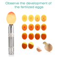 Egg Candler Light Tester Egg Candler Tester Candling Lamp for All Egg ...