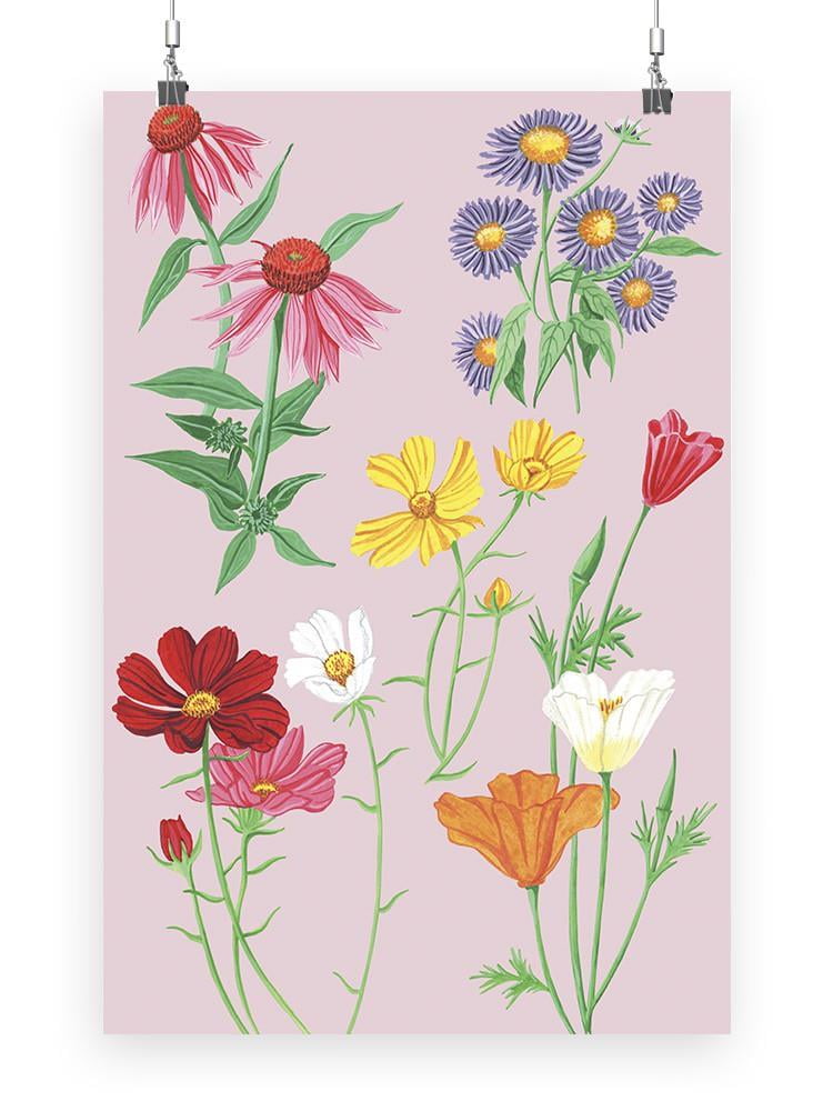 Artshine Wild Flowers I Poster - Girija Kulkarni Designs, Poster Print ...
