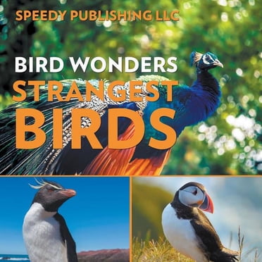 The Joy of Bird Feeding: The Essential Guide to Attracting and Feeding ...