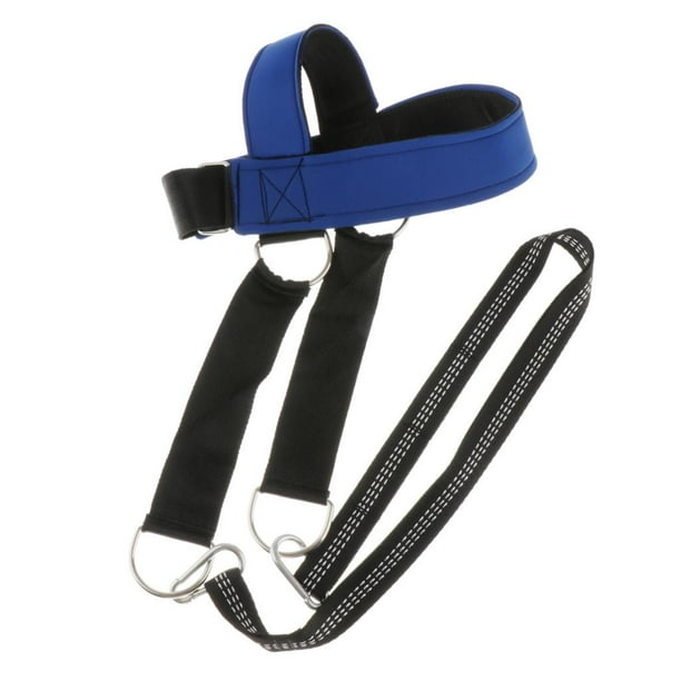 Professional Weight Lifting Head Harness Padded - Neck Harness - Walmart.ca