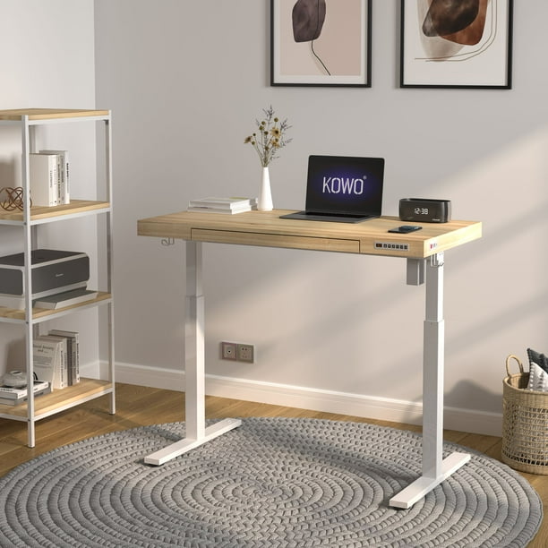 KOWO 48" K305 Electric Height Adjustable Standing Desk, Natural/White ...