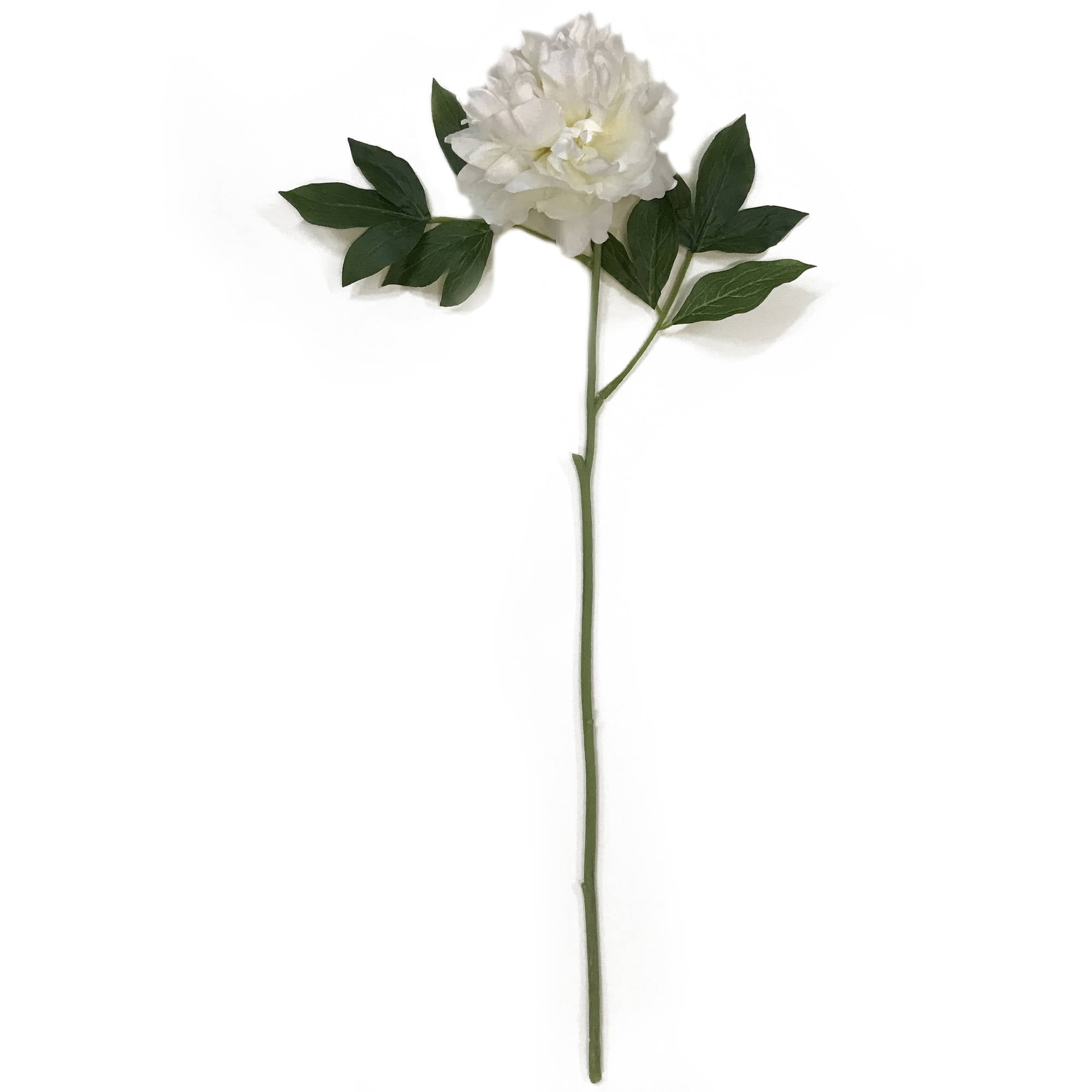 28" White Peony Stem, 1 Each - Walmart.com