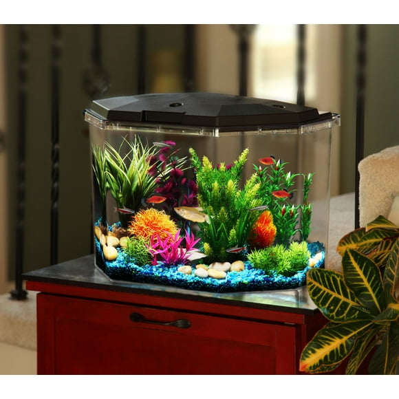 5 Gallon Fish Tank