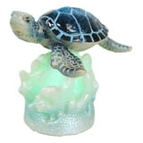 Ocean Marine Blue Giant Sea Turtle Swimming Over LED Light Coral Reef ...