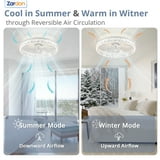 Zardon 20" Modern Ceiling Fan with LED Light and Remote, App Control ...