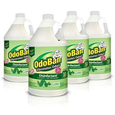 Bioesque Botanical Disinfectant Solution Case of 4 Gallons - Walmart.com