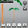 Wintergreen Lighting Holographic Lighted Palm Tree 4.5ft Artificial ...