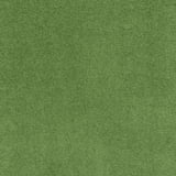Mainstays Traditional Solid Green Shag Indoor Accent Rug, 1'8" x 2'10 ...