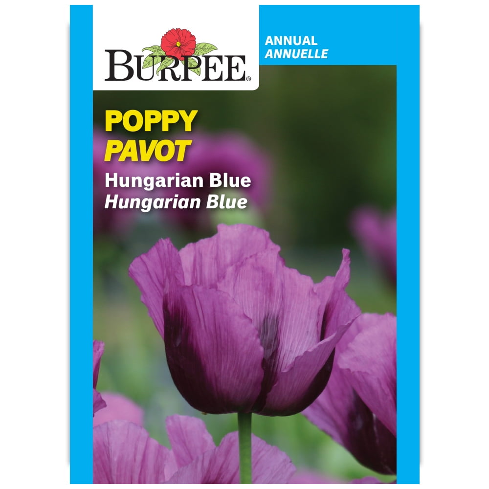 Click here for Burpee Canada Burpee Hungarian Blue Poppy prices