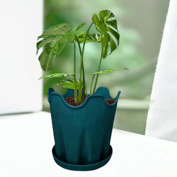Maceta de flores con base de silicona recipiente de plantas de flores ...