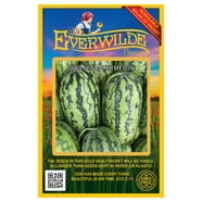 Watermelon Garden Seeds - Shiny Boy Hybrid (Treated) - 100 Seeds - Non ...