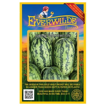 Watermelon Garden Seeds - Shiny Boy Hybrid (Treated) - 100 Seeds - Non ...