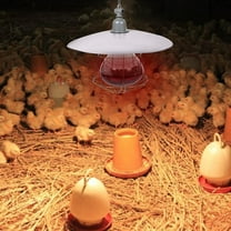 Premier 1 Supplies Prima Heat Lamp, 250W Max, for Poultry, Brooders ...