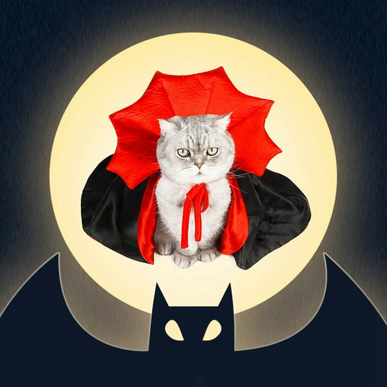 Batman Costumes For Cats
