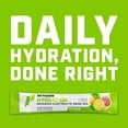 1st Phorm Hydration Sticks, Citrus Flavor, Electrolyte Powder Drink Mix ...