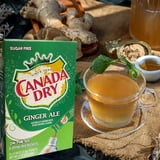 Canada Dry Ginger Ale Powdered Drink Mix Sugar Free Low Calorie Water ...
