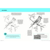 How to Draw & Paint: Drawing: Basic Textures in Pencil : A Beginner's ...