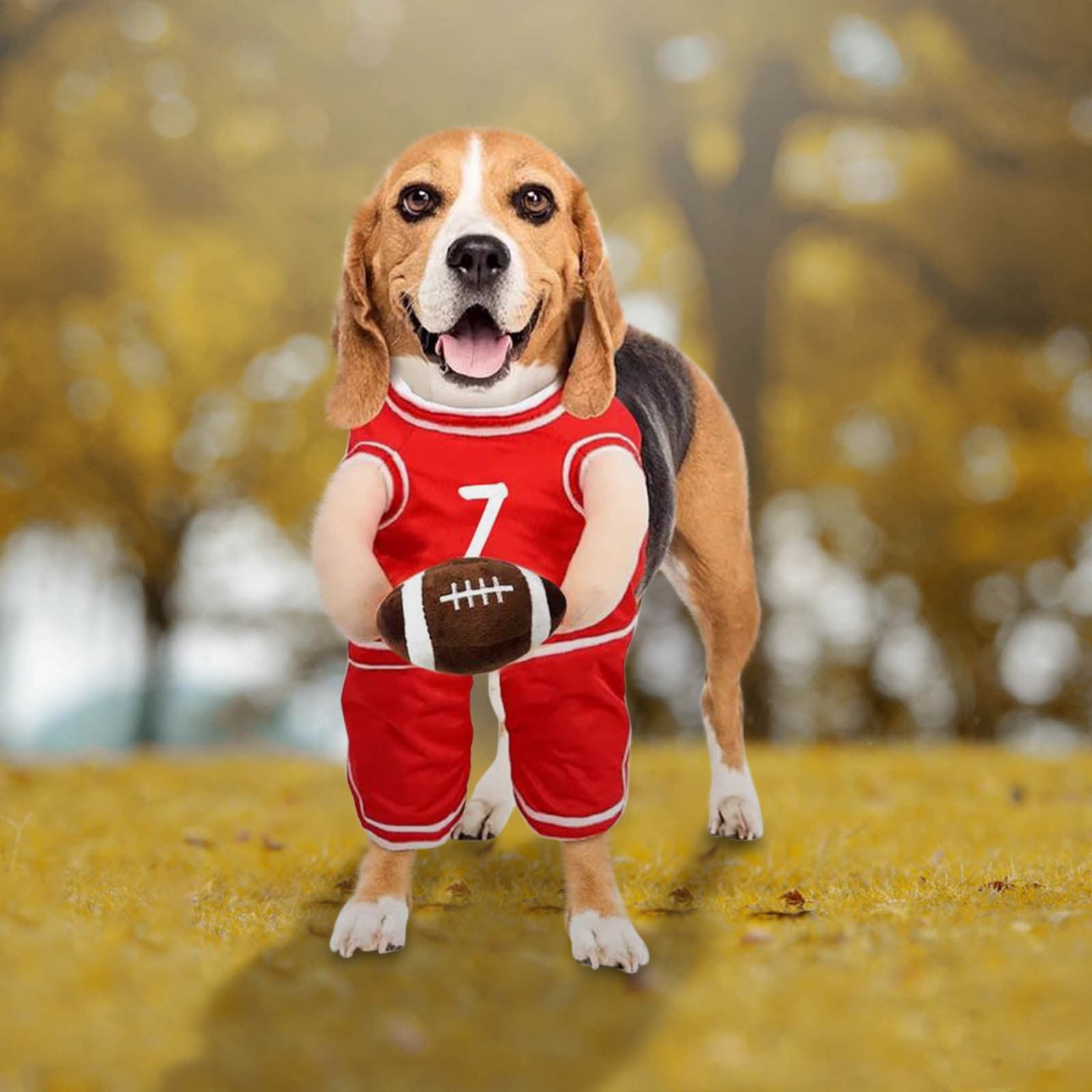Disfraz genérico de fútbol para perro, disfraz de peluche con balón ...
