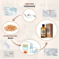 AKARZ Benzoin Essential Oils 3.38 fl.oz./100ml Pure And Naturel ...
