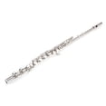 SalonMore Beginner C 16 Key Flute for Student with Case E Key,Silver ...