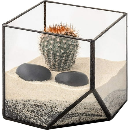 10x10x10 Square Clear Glass Terrarium Planter Geometric Shape For ...