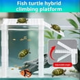 ANXPTIME Turtles Basking Platform Terraces Climbing Ramps Reptiles ...