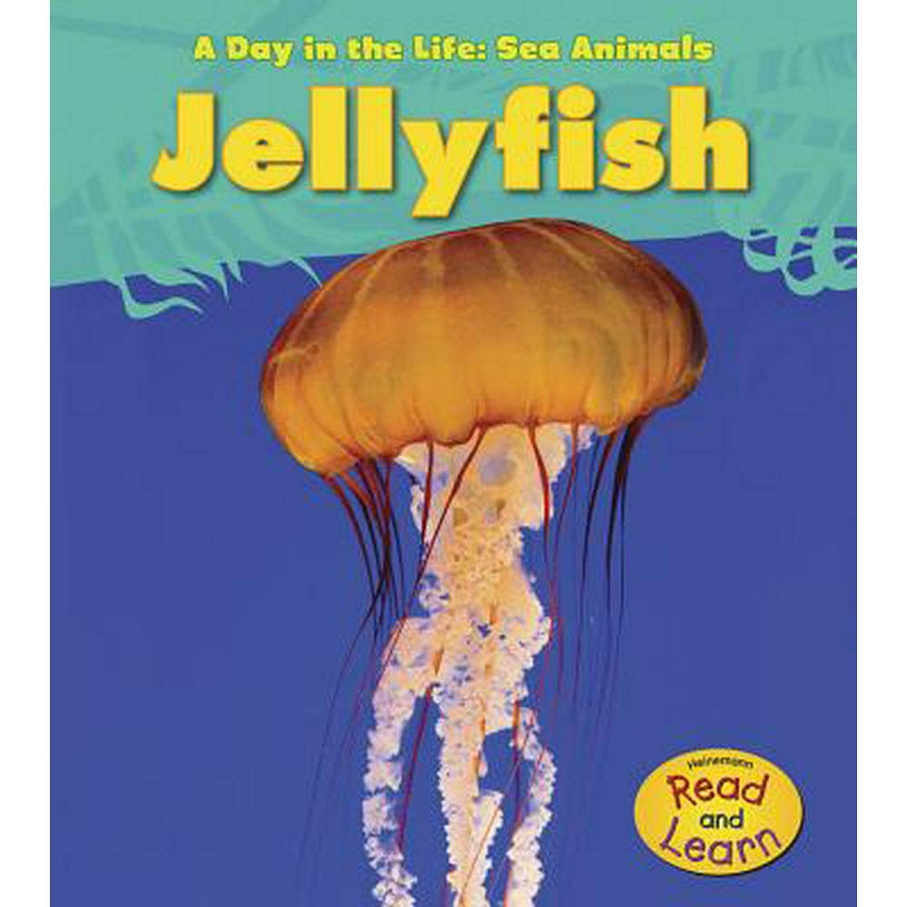 Day in the Life: Sea Animals (Paperback): Jellyfish (Paperback ...