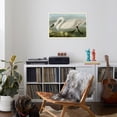 Art.com Common American Swan Giclee Print by John James Audubon, 36" x ...