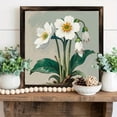 8x8 Inch Framed Wood Wall Art, Botanical Illustration of White Spring ...
