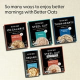 Better Oats 100 Calorie Maple Brown Sugar Oatmeal with Flax Seeds, 10 ...
