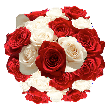 50 Stems of Red Roses- Beautiful Fresh Cut Flowers- Express Delivery ...