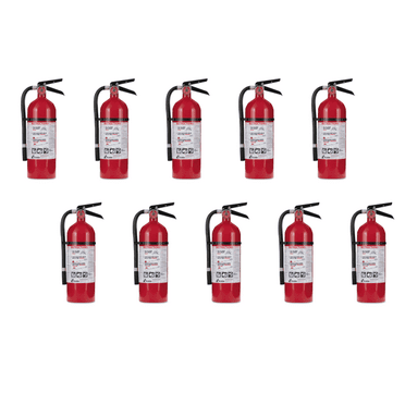 First Alert AF400 Tundra Fire Extinguishing Aerosol Spray, AF400. 10 ...