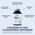 1MD Nutrition CholestMD, Cholesterol Support Supplement, Bergavit ...