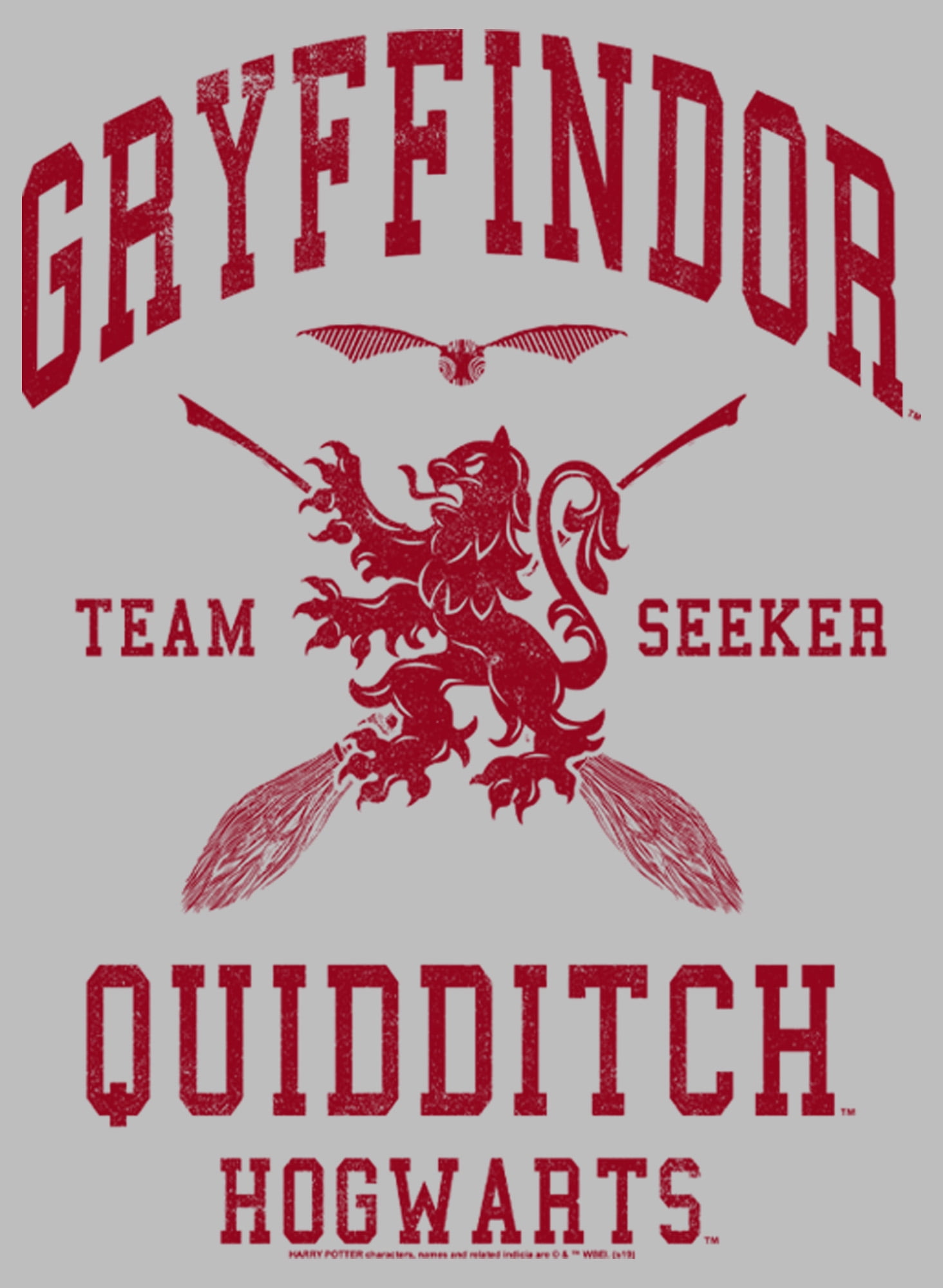 Gryffindor Quidditch Team Logo