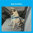 Premier Pet Pet Car Safety Tether: Keeps Dog Secure in Any Vehicle ...