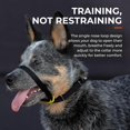 Canny Collar No-Pull Dog Head Collar | Gentle & Humane Leash Training ...