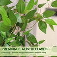 ROMSWI 6FT Artificial Ficus Tree with White Planter Tall Realistic ...