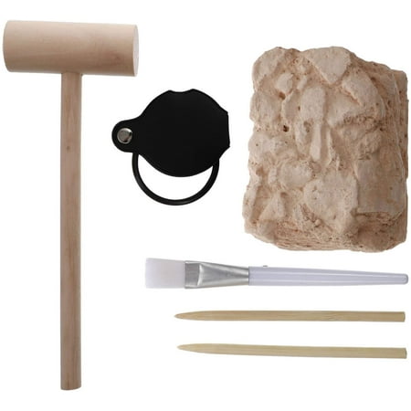 8pcs Archaeological Toy Treasure Excavation Kit Interactive ...