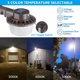 TORCHSTAR 3CCT LED Barn Light, 50W Dusk to Dawn Area Lights 3K/4K/5K ...
