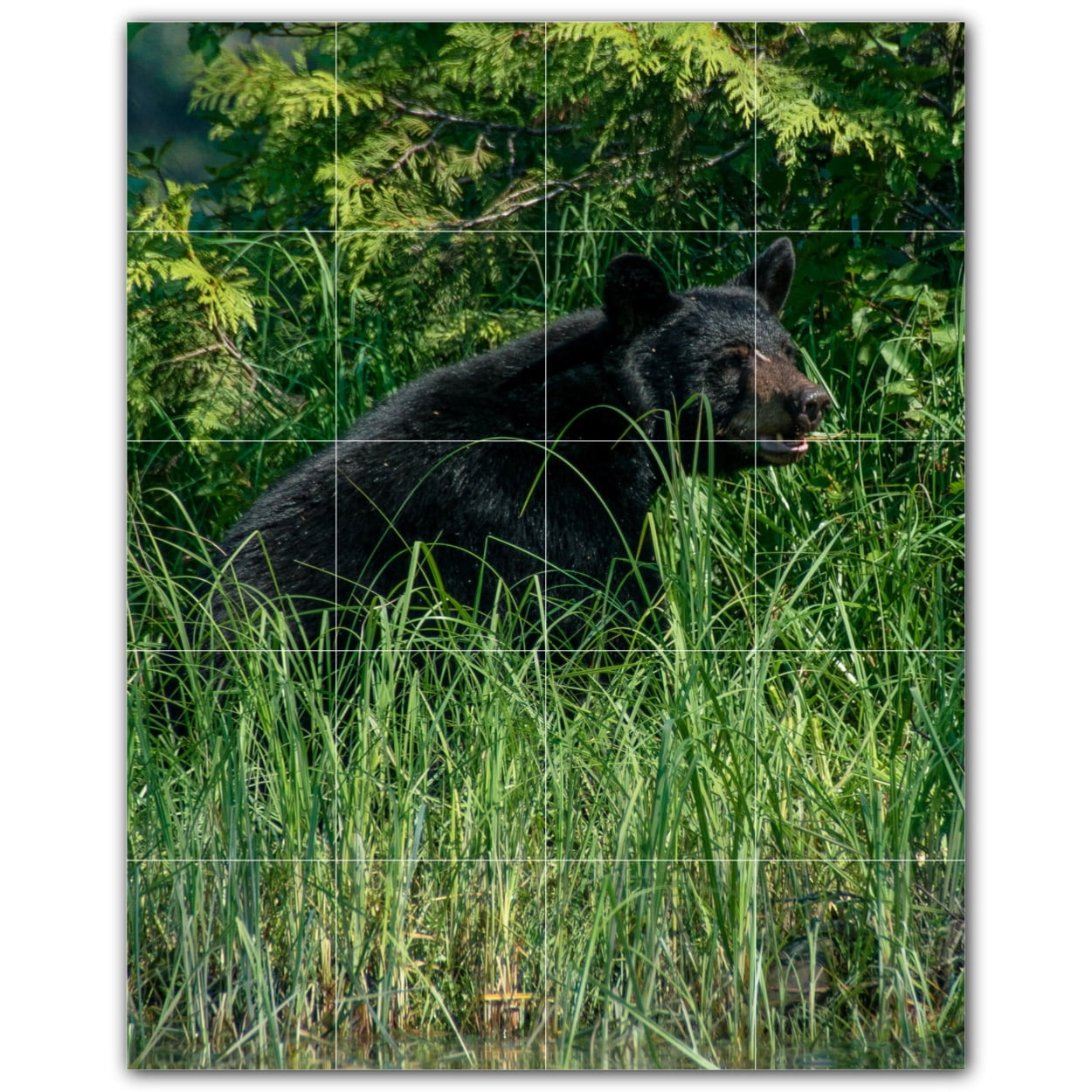 Picture-Tiles.com: Bear Ceramic Tile Wall Mural WAL500122-45L. 32"W x ...