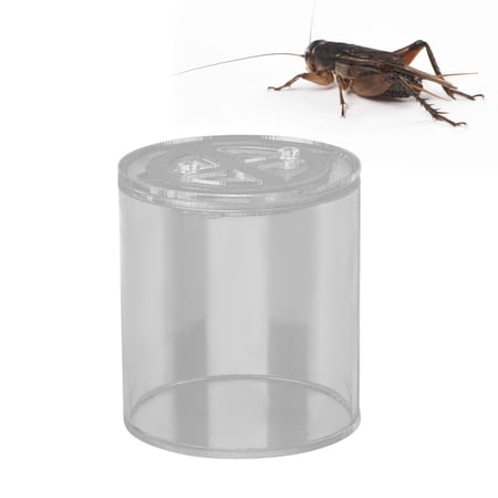 FAGINEY Cricket Terrarium,Cricket Terrarium Portable Transparent Spider ...