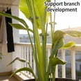 10Pcs Plant Stakes, 11Inch Garden Green Plant Support Stakes for Indoor ...