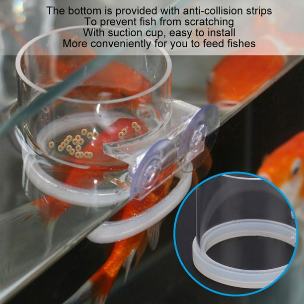 Acrylic Transparent Fish, Food Feeder With Suction Fish Feeding Feeding ...