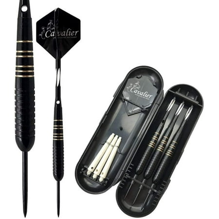Professional Tournament Steel Tip Darts with Hard Case, Aluminum Shafts ...