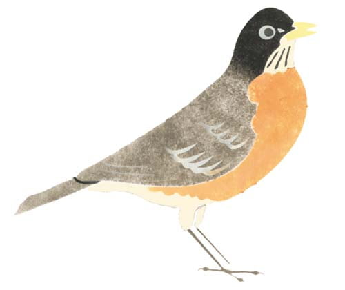 Robin Wall Stencil SKU #1699 by Designer Stencils - Walmart.com