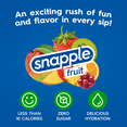 (2 pack) Snapple Fruit Punch Powdered Drink Mix, 6ct, on-the-go packets ...
